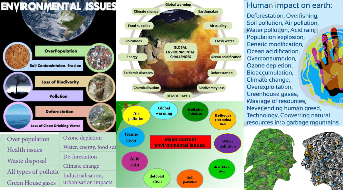 World Environment Day 2022 – All Facts & Celebrations Update Explainer ...