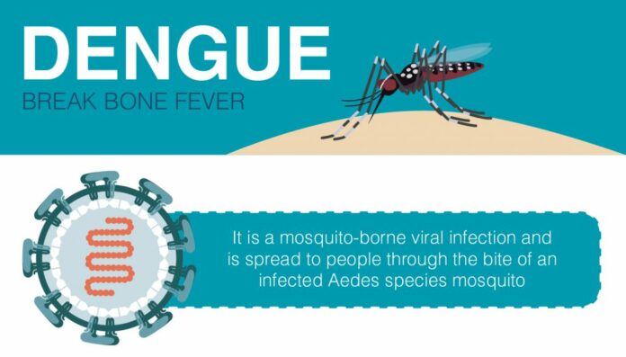 Dengue And Its Prevention