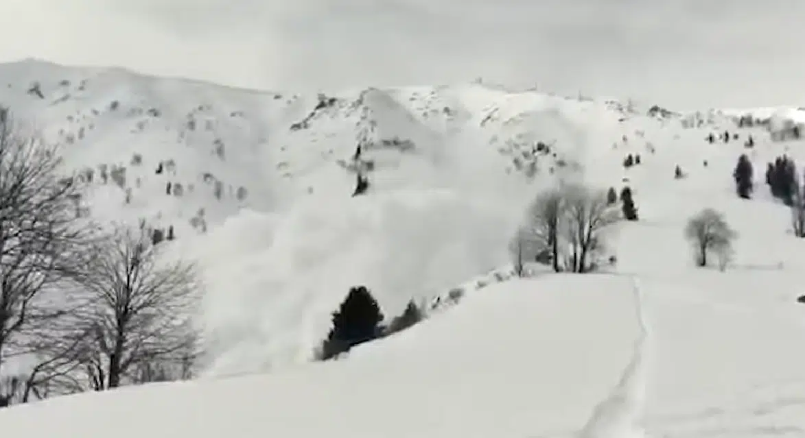 Avalanche Hits World-Famous Ski Resort | Asiana Times | 2024