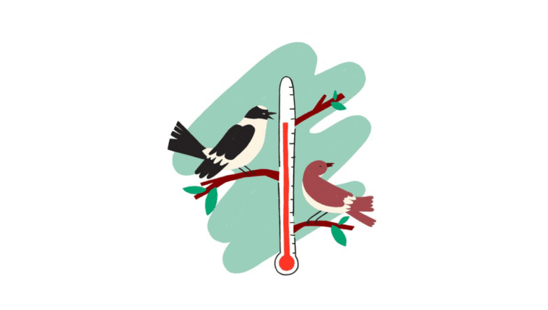 Climate Change Driven Unsettling Effects On Bird Breeding - Asiana Times